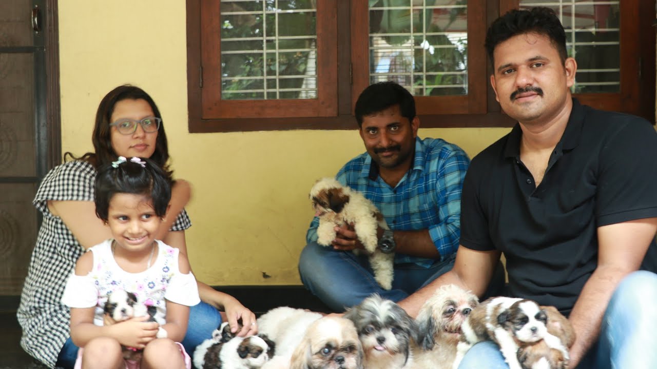 How To Safely Trim A Cat S Nails Vet Tutorial Housepetscare