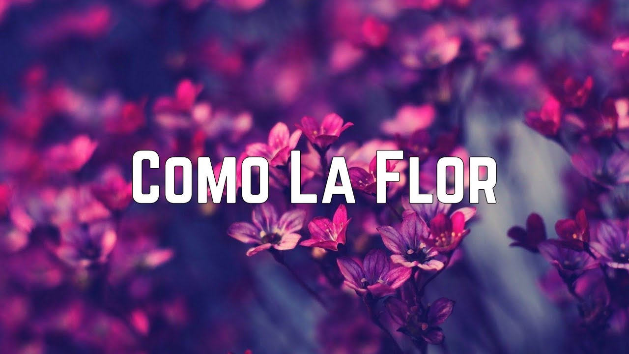 Selena Como La Flor Lyrics Youtube