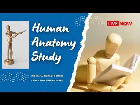 Lec8 Mastering Human Anatomy Drawing A Comprehensive Guide On How To