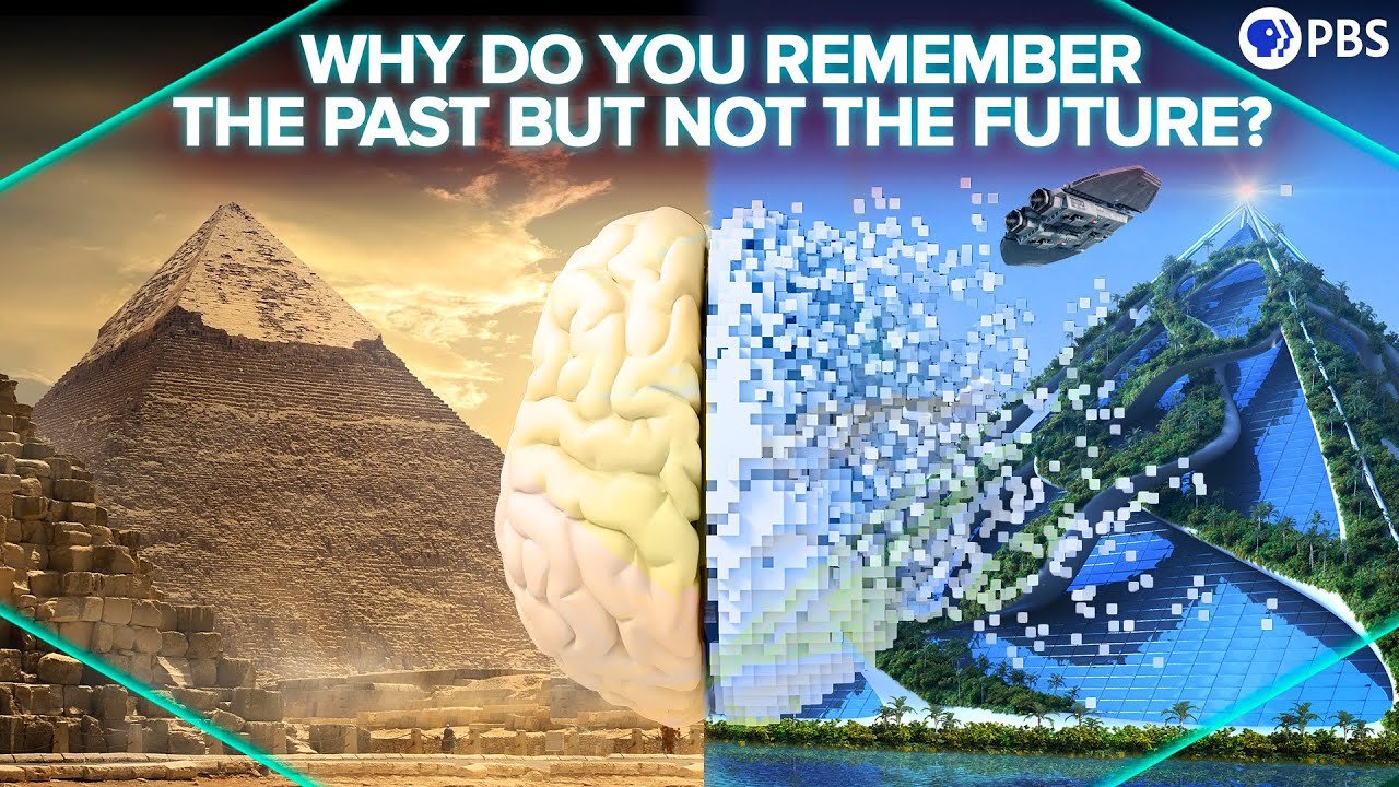 Why Do You Remember The Past But Not The Future Youtube