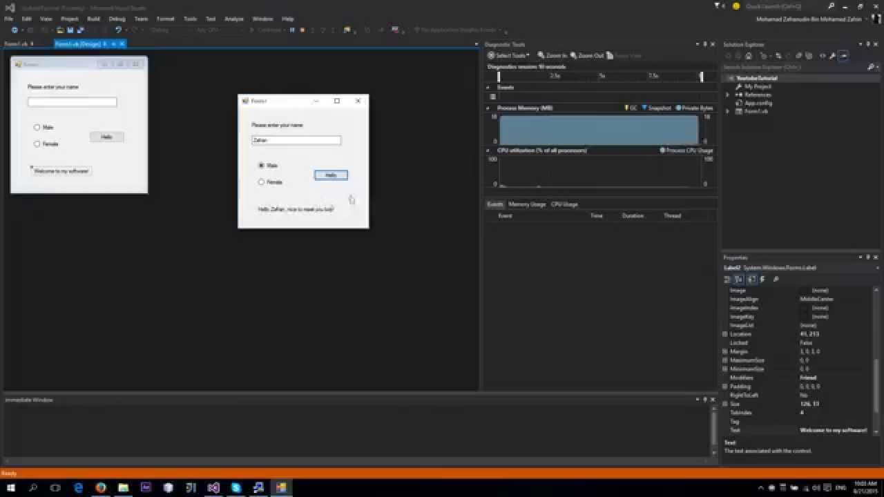 Microsoft Visual Studio Tutorial 5 Radio Button Tutorial Youtube