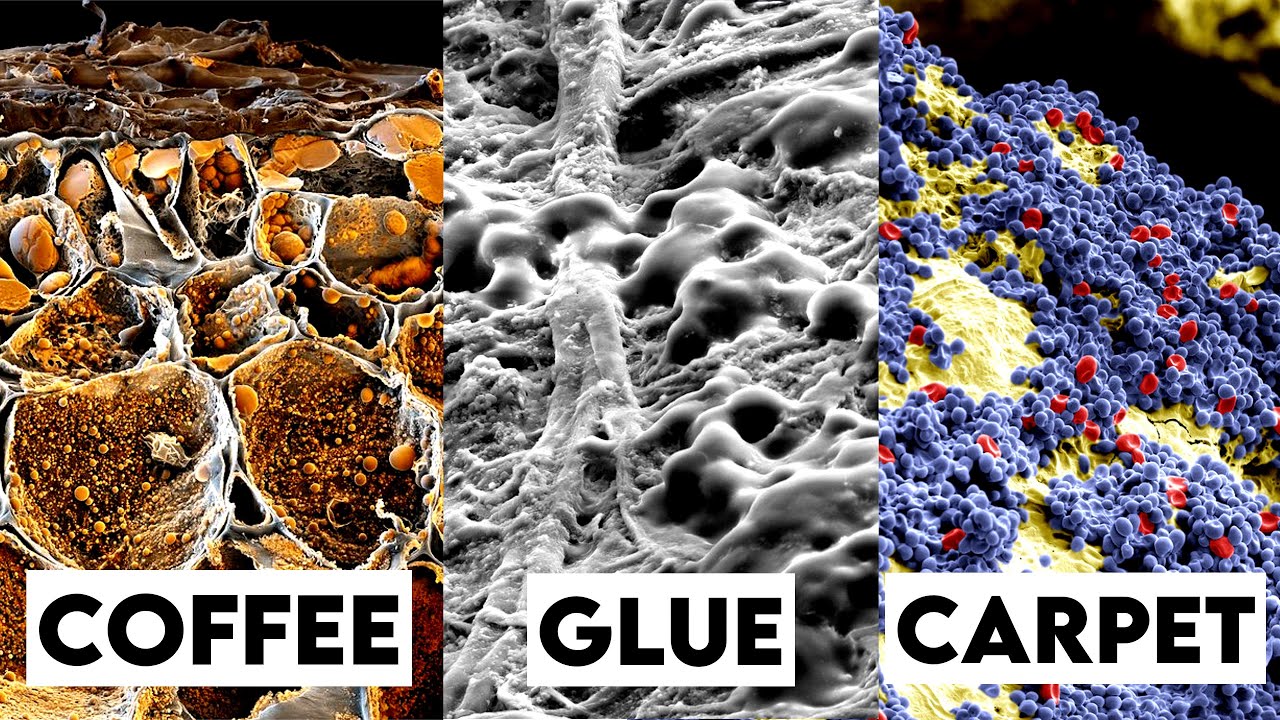 Home Objects Under Electron Microscope Youtube