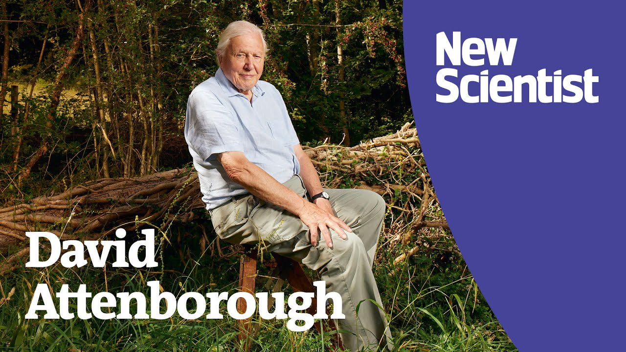 David Attenborough On Planet Earth Iii The Natural World Is Not