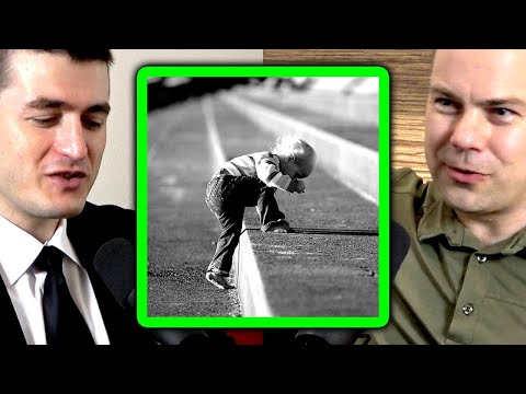 Meaning Of Life Chris Lattner And Lex Fridman Video Summary And Q A