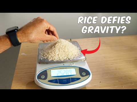 Why Do Grains Defy Gravity Transcript Chat And Summary With Ai