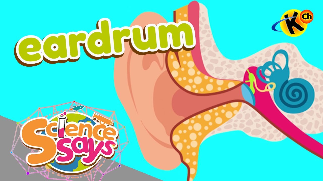 Eardrum Science Says Youtube