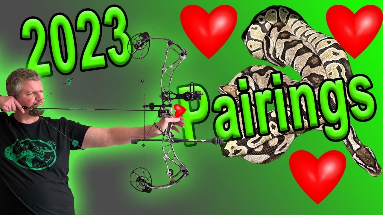 2023 Breeding Season Pairings Ball Pythons Carpet Pythons Youtube