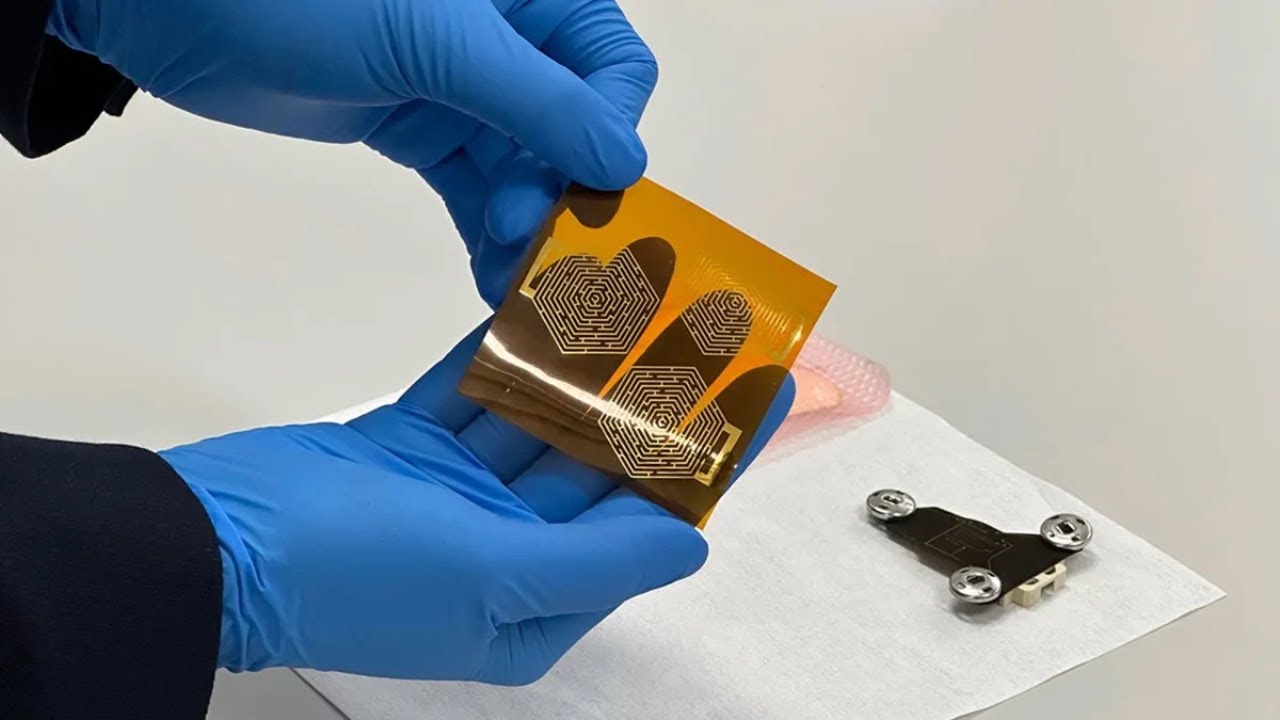 7 Mind Blowing New Discoveries In The World Go It