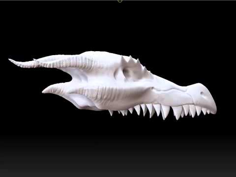 3d Dragon Skull Turnaround Youtube