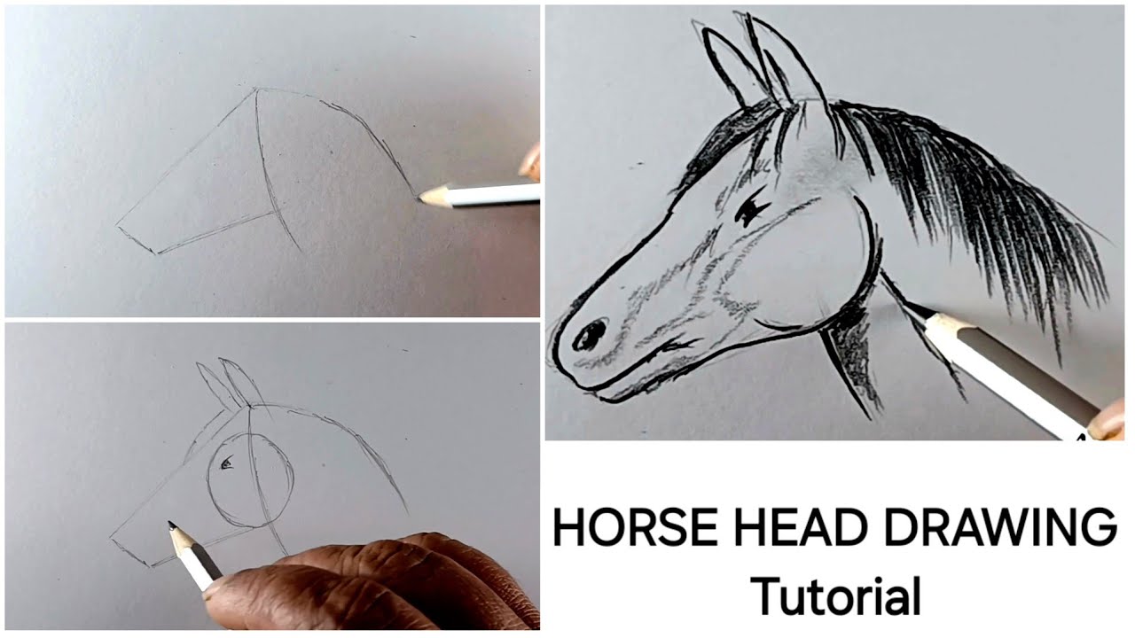 Horse Head Drawing Easy Tutorial Youtube