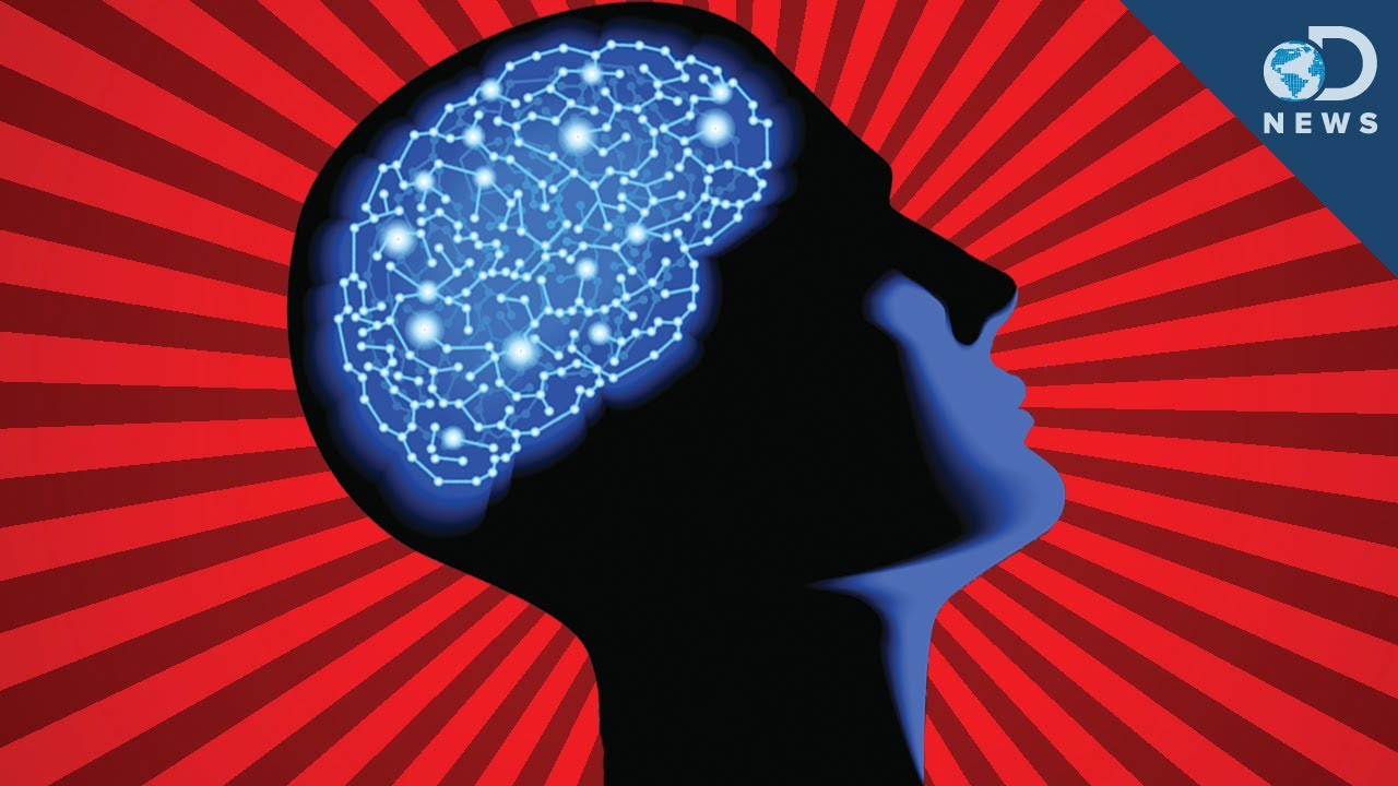 Most Detailed Map Of The Brain Ever Youtube
