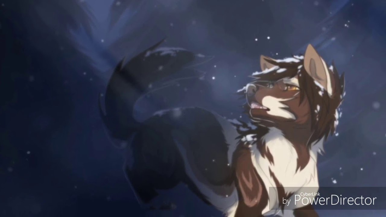 Anime Wolves Stand Out Fit In Youtube