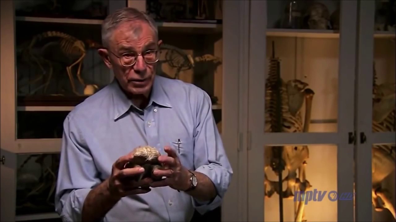 Becoming Human Top Documentary Films Top Documentary Films