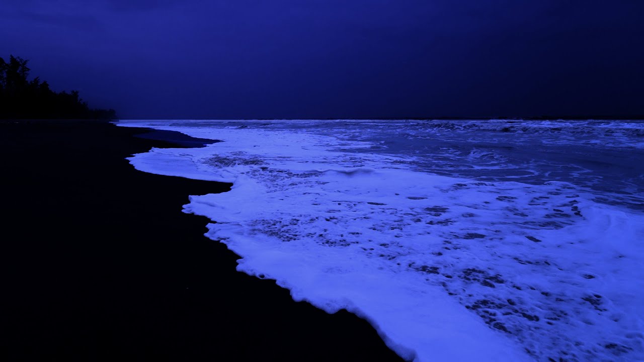 Deep Sleeping 10 Hours Relaxing Ocean Waves For Deep Sleep Night Sea
