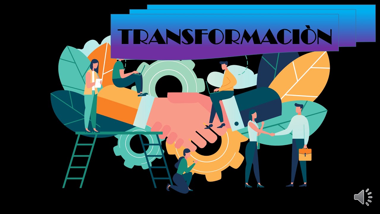 Fusión Escisión Transformación Liquidación De Sociedades