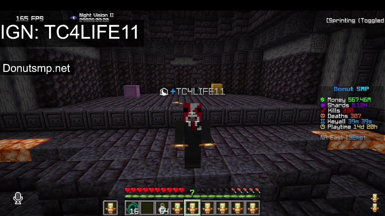Donut Smp Building Farm Youtube
