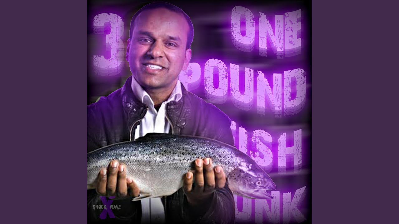 One Pound Fish Funk 3 Slowed Shockwavex Song Lyrics Music Videos