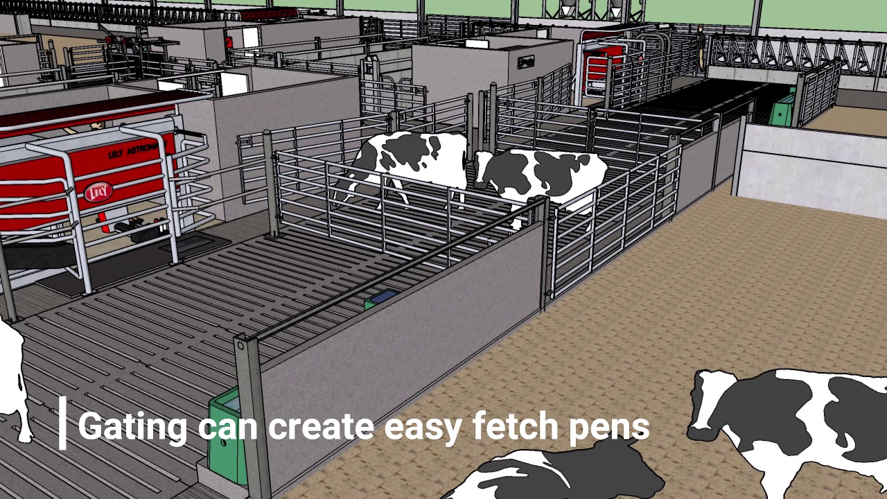Cowplan Robot Barn 3d Concept Video On Straw Yards Youtube