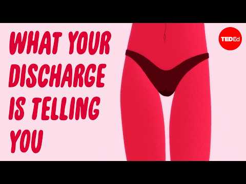 How Menstruation Works Emma Bryce Ted Ed