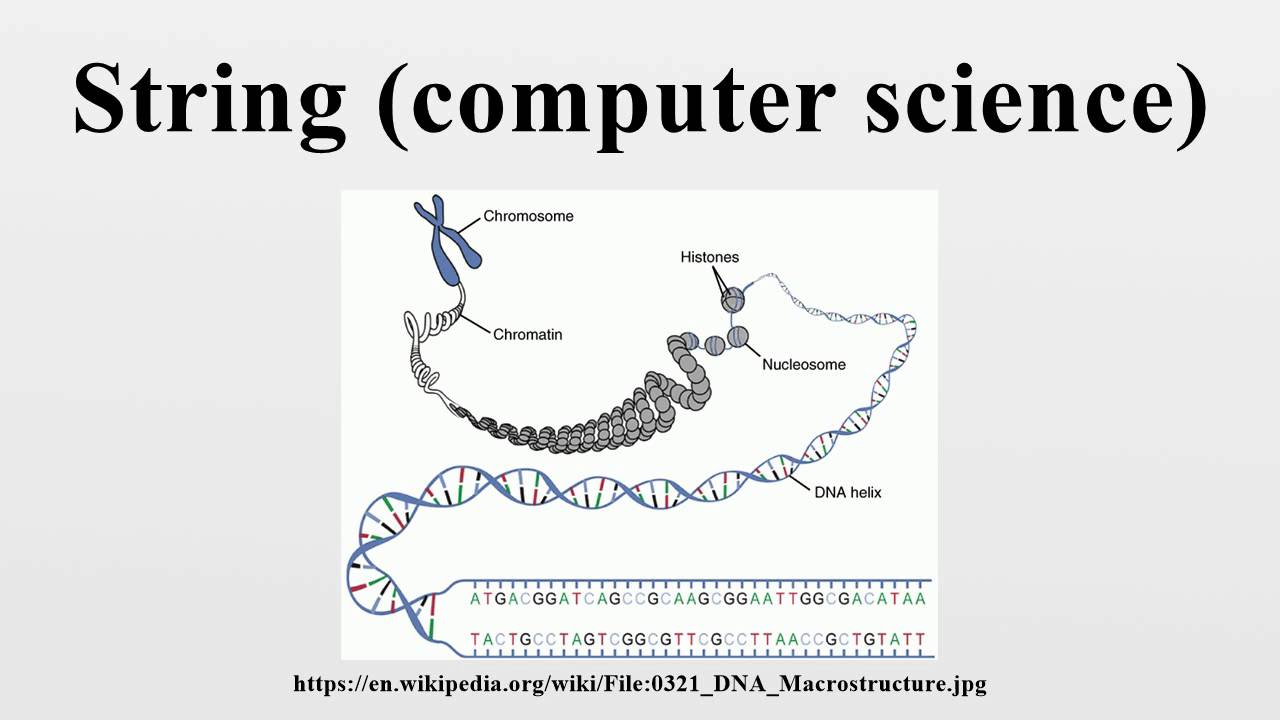 String Variable Computer Science At Ann Sexton Blog