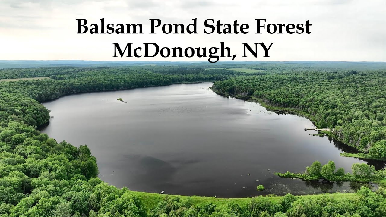 Balsam Pond State Forest Mcdonough New York 4k Drone Footage Youtube