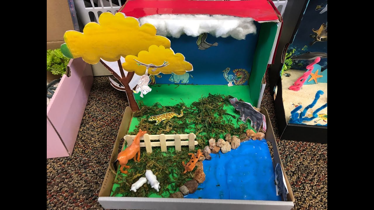 Tiger Habitat Diorama