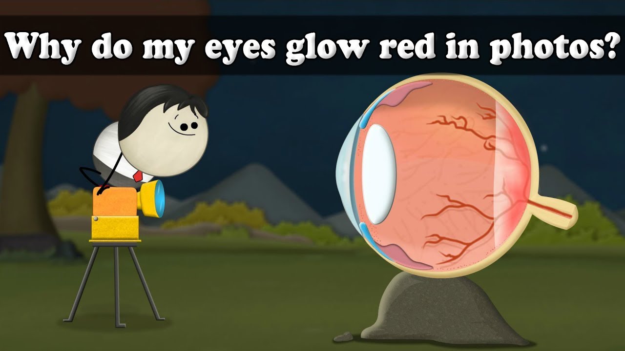 Red Eye Effect Why Do My Eyes Glow Red In Photos Aumsum Kids