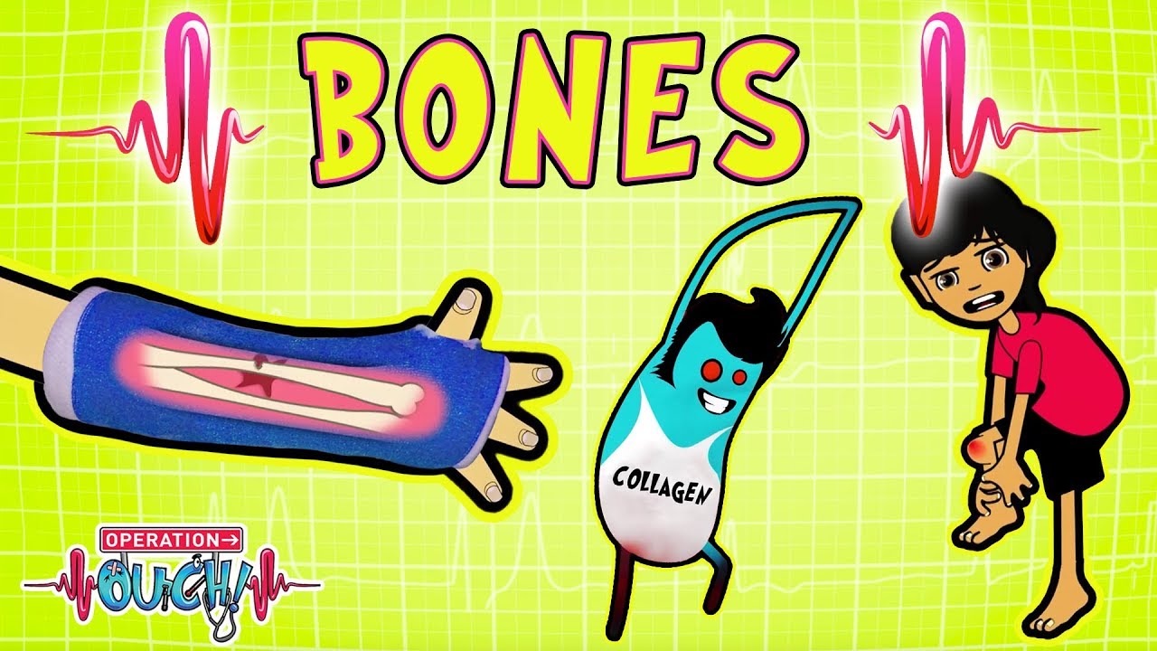 Science For Kids Breaking Bones Experiments For Kids Operation