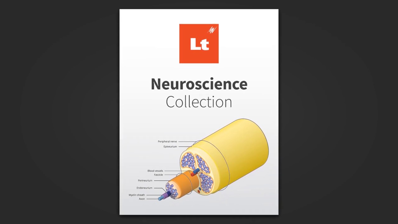 Lt Online Learning Platform Neuroscience Collection Youtube