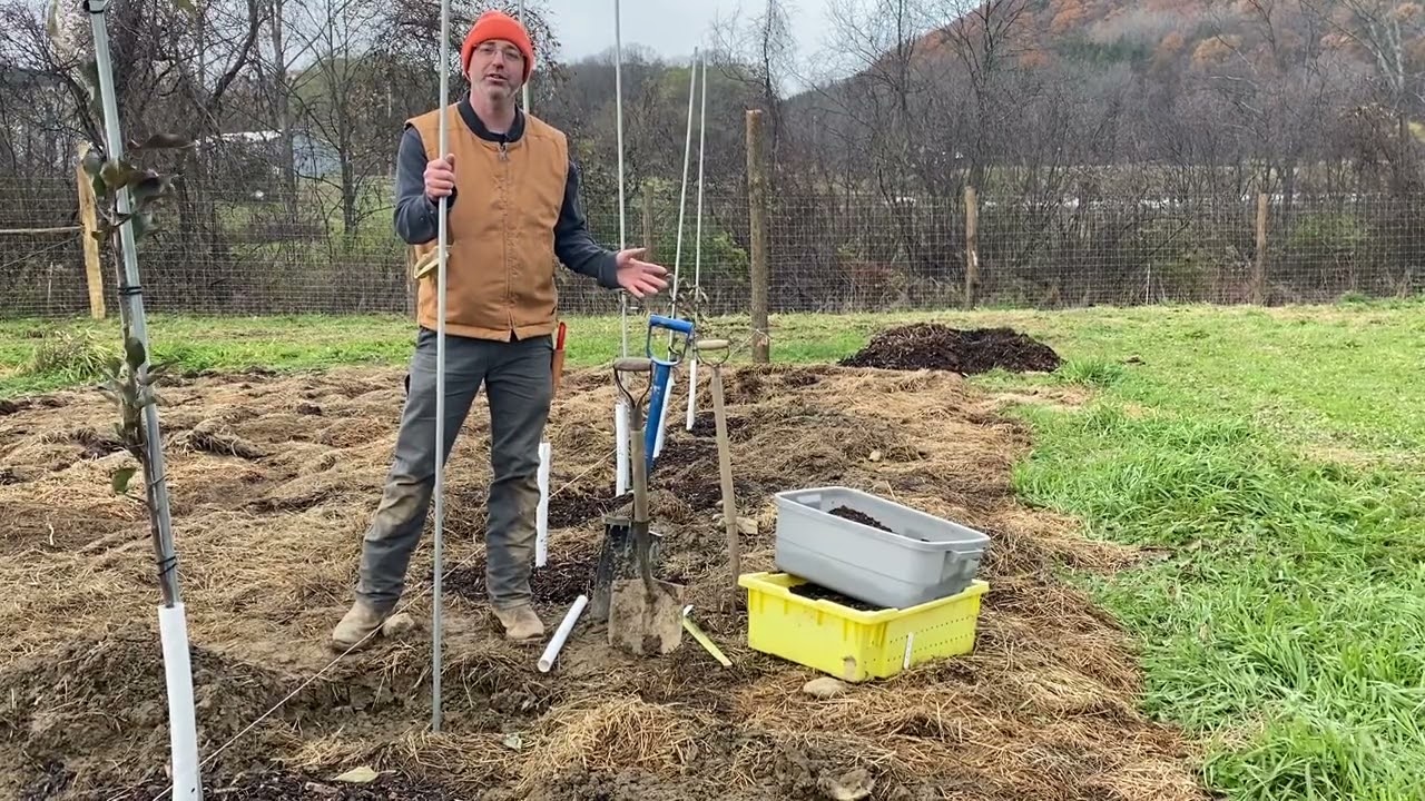 Tools For Tree Planting Youtube