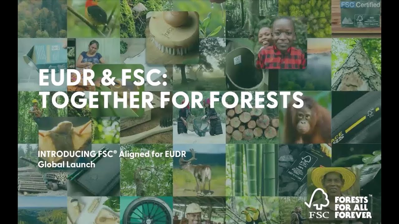 German Introducing Fsc Aligned For Eudr Global Launch Youtube