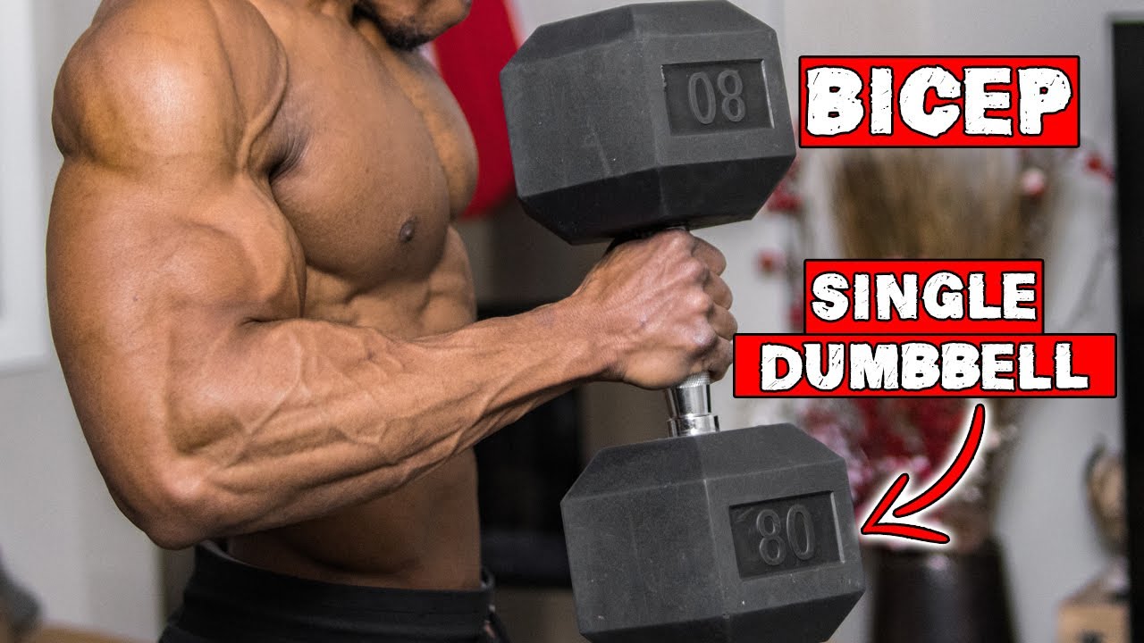 Dumbbell Bicep Exercises