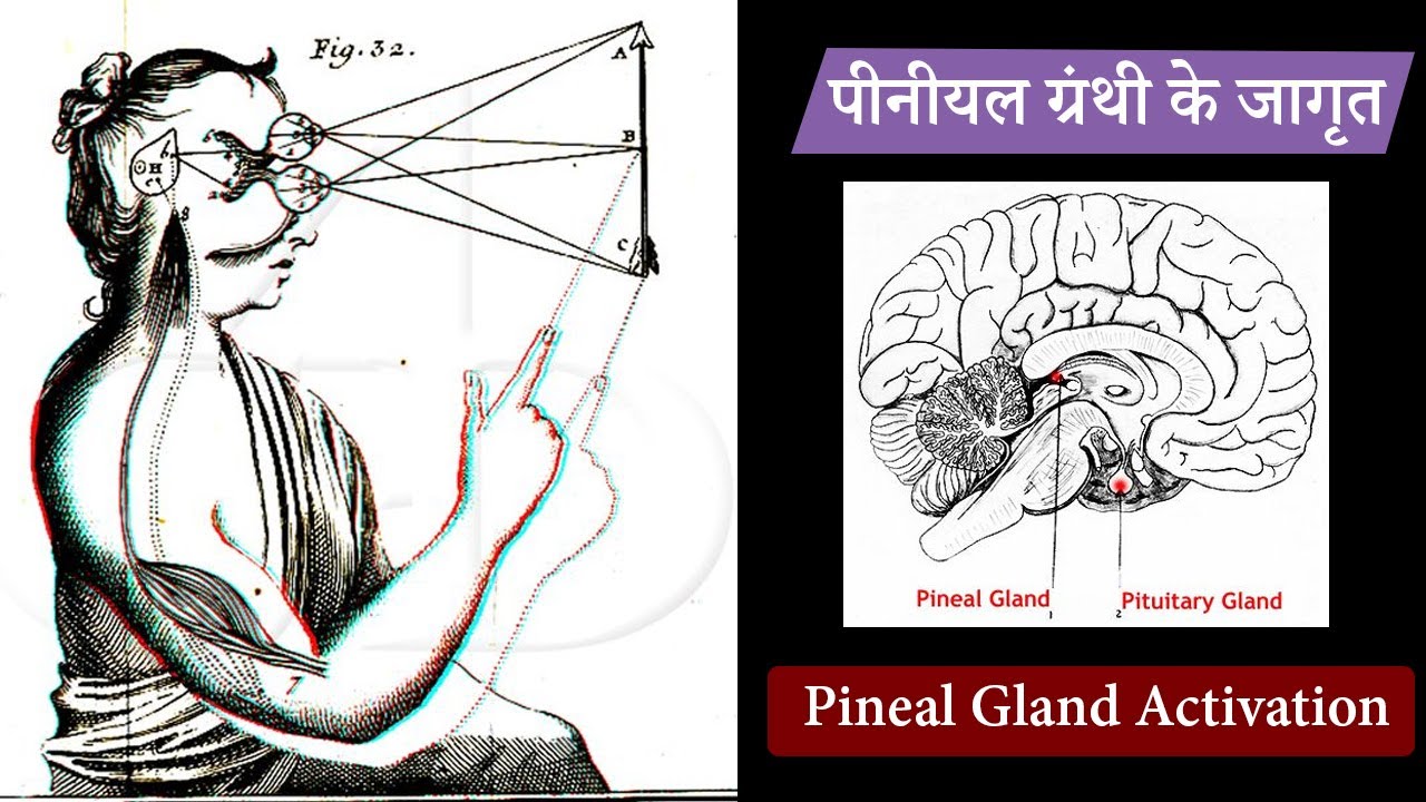 Pineal Gland Activation