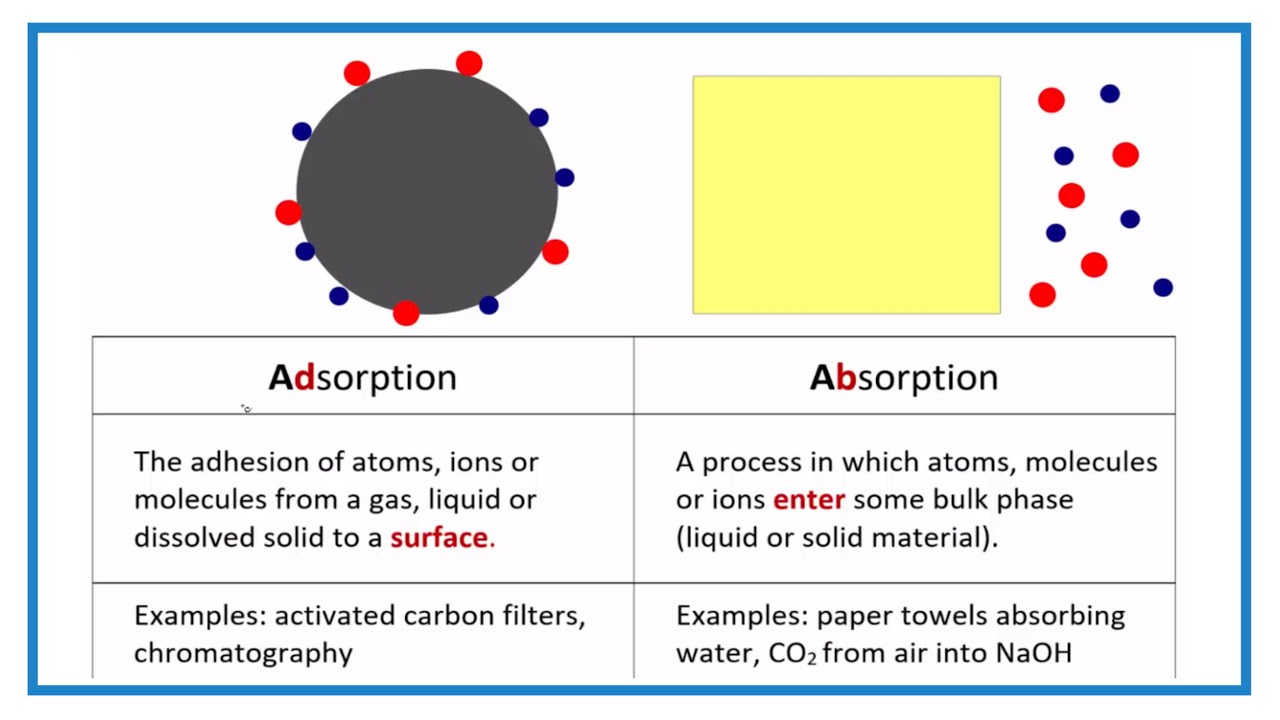 Adsorption Vs Absorption J Chemistry рџ ґadsorption Vs