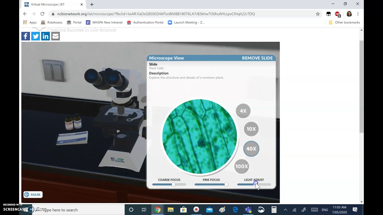 Tutorial On Virtual Microscope Youtube