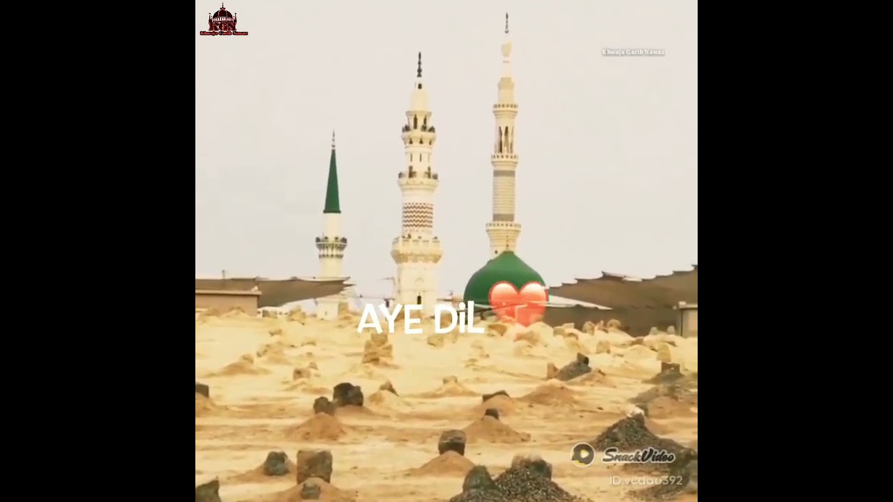November 14 2021 Youtube