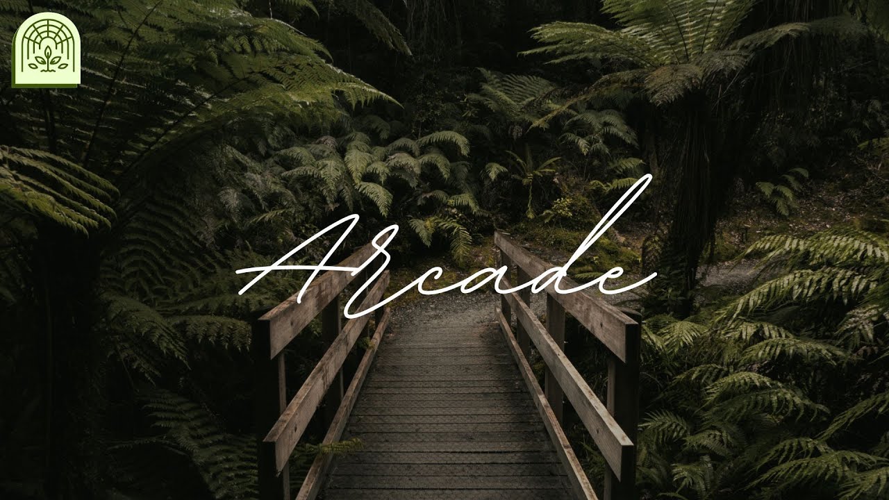 Duncan Laurence Arcade Lyrics Ft Fletcher Arcade Mix Playlist