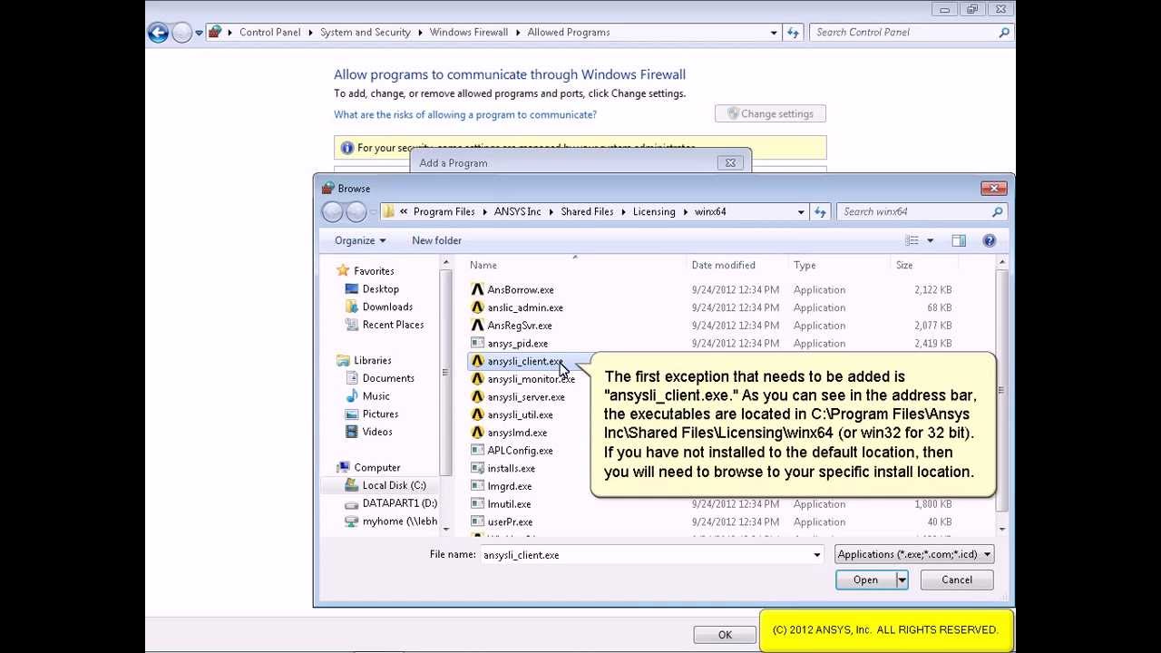 License Manager Ansys Sixclever