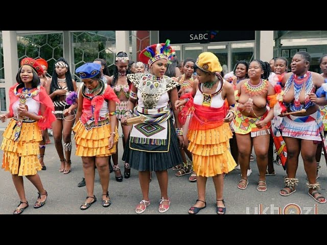 Traditional Zulu Wedding Dance Zulu Wedding Dance Hi Res Stock