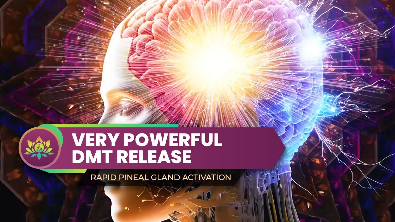 Very Powerful Dmt Release Rapid Pineal Gland Activation Third