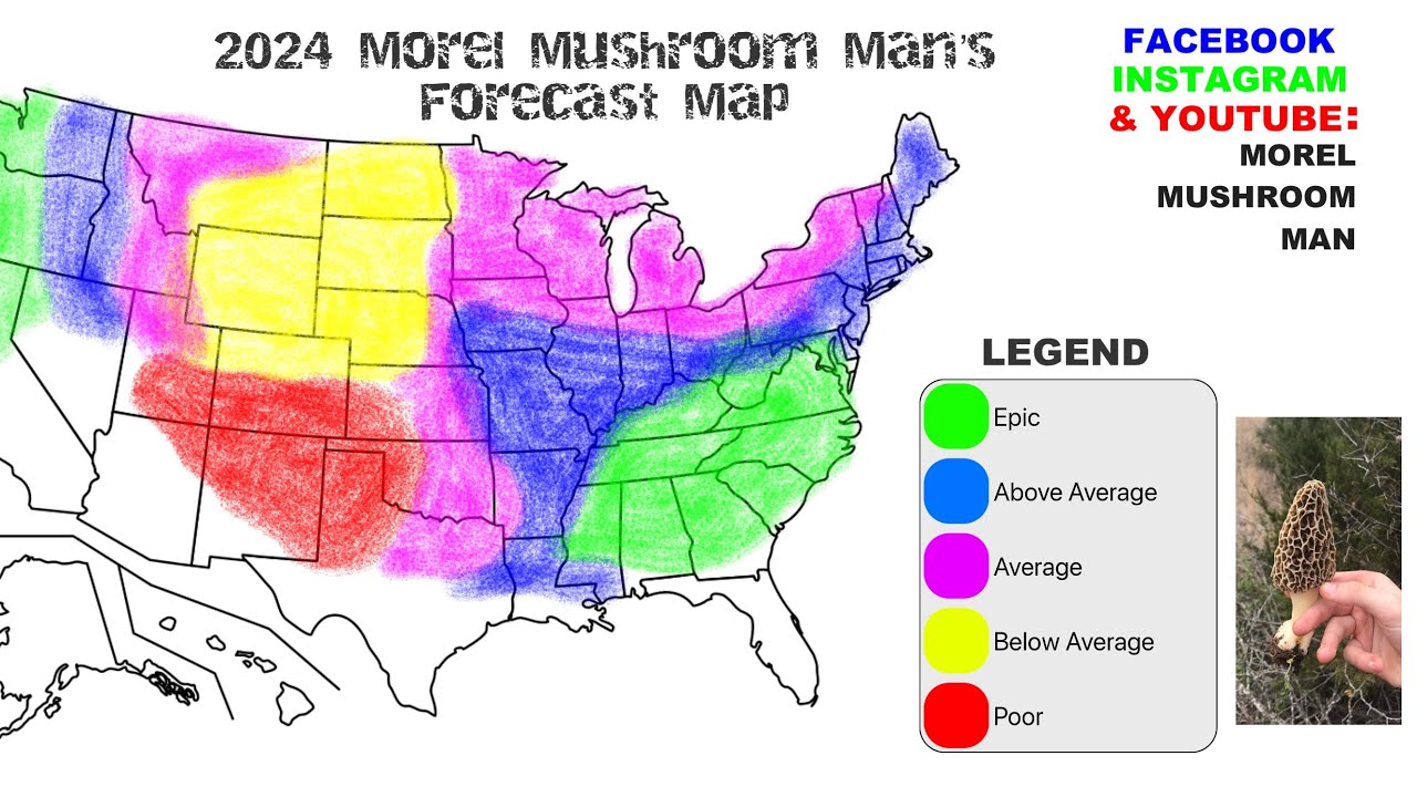 Morel Mushroom Range Map Disturbance Morels And Forestry Contracting