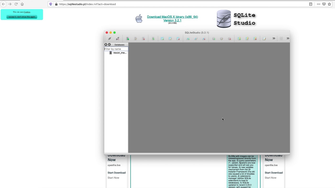 Sqlitestudio Installation And Interface Youtube