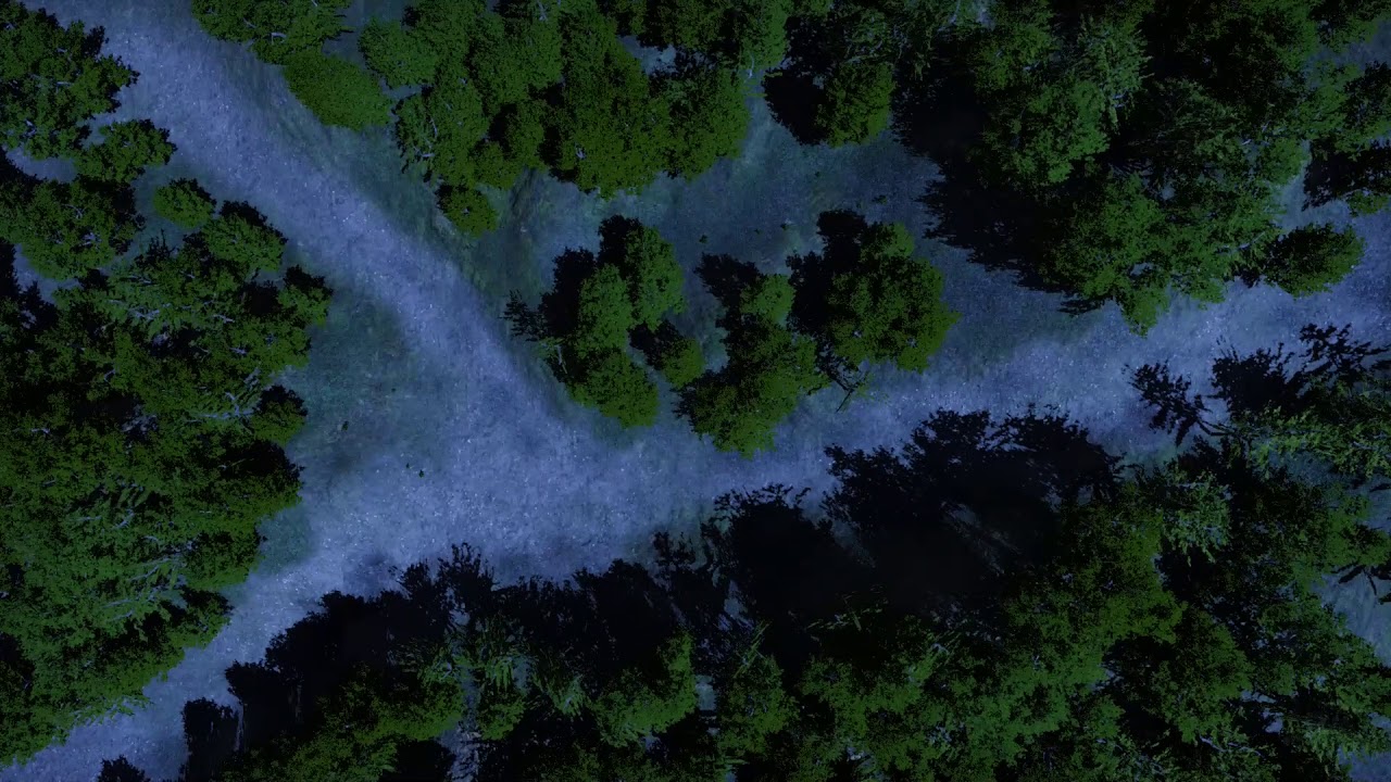 Animated Battlemap Forest Path 1 Night No Grid Youtube