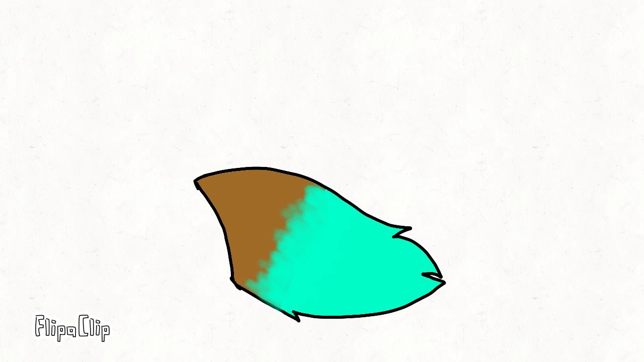 Tail Practice Youtube