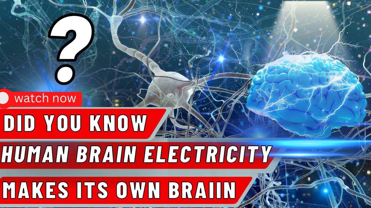 Human Brain Produced Enough Electricity To Power A Light Lamp The