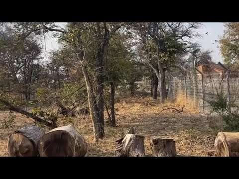 Landscape Youtube