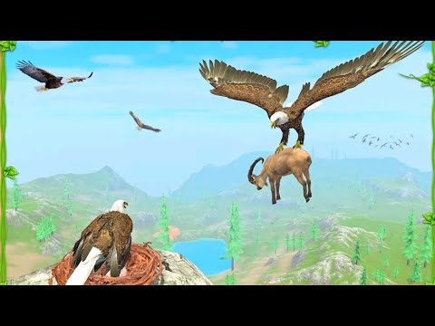 Eagle Simulator Gameplay Youtube