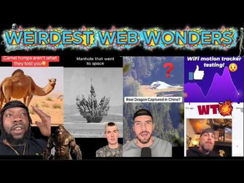 Weirdest Web Wonders Vol 54 Youtube