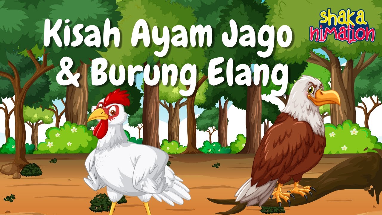 Dongeng Kisah Ayam Jago Dan Burung Elang Cerita Dan Dongeng