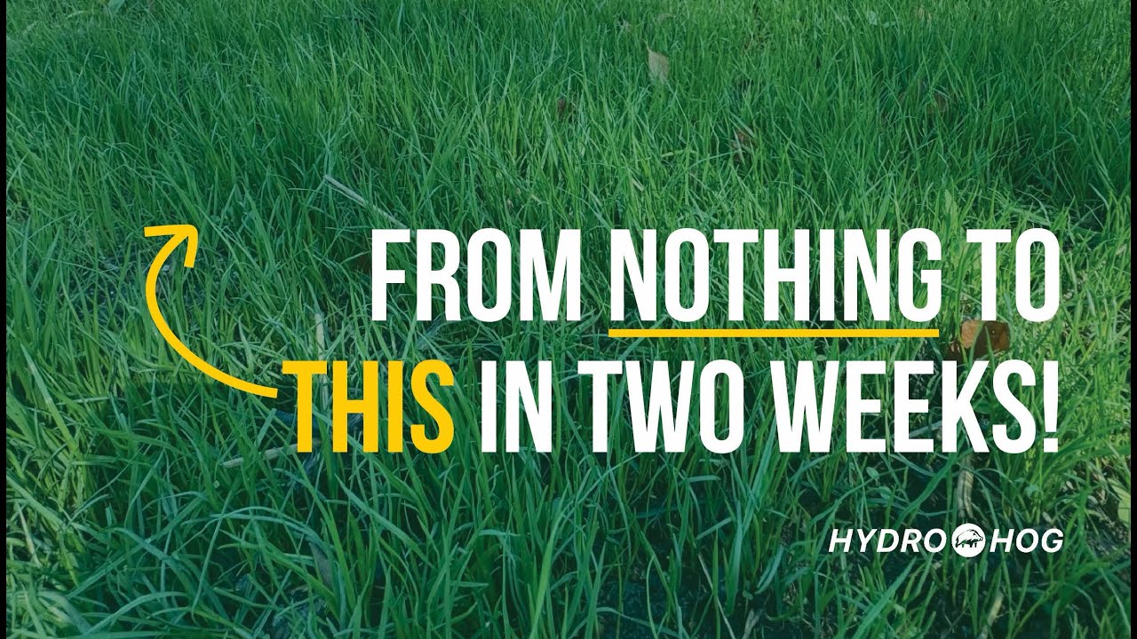 Hydroseed For Crazy Results Youtube